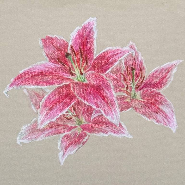 Pink Lilies Drawing by Daria Kraplak | Saatchi Art