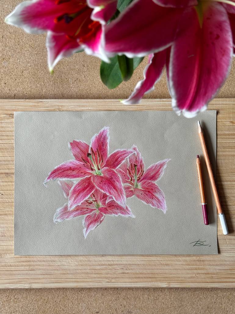 Pink Lilies Drawing by Daria Kraplak | Saatchi Art