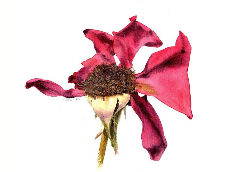 Heady Aroma Of The Dusk Rose Painting by Alona Hryn | Saatchi Art