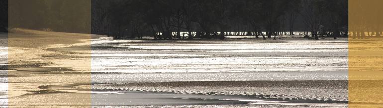 mangroves 2 - Limited Edition of 50 Photography by Juergen Steinhauser ...