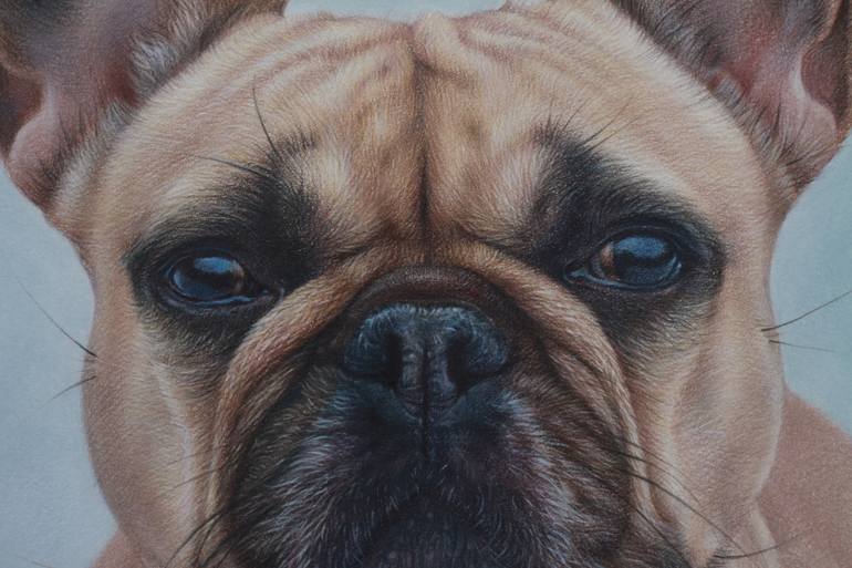 French Bulldog Drawing by Chuchu Cao | Saatchi Art