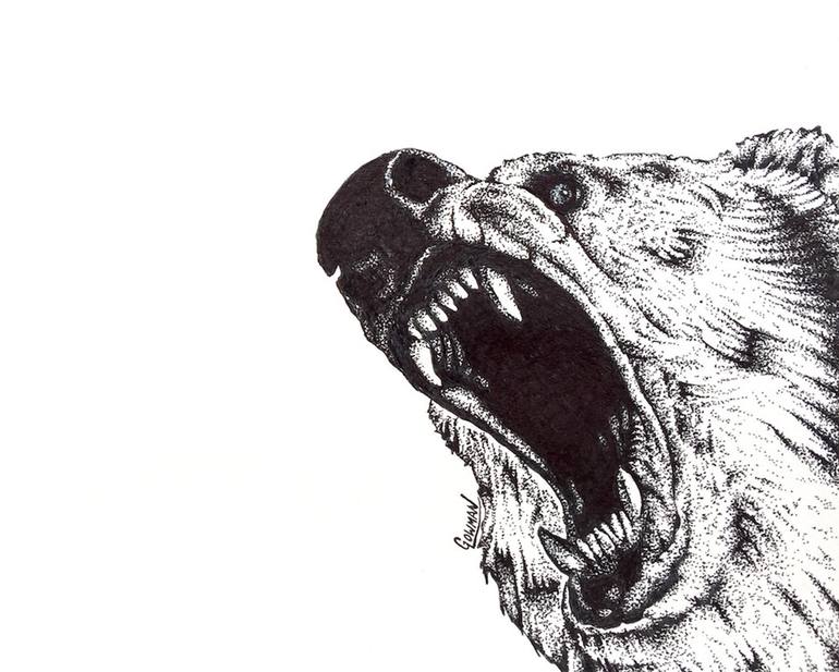 Grizzly Drawing by Greg Lowman | Saatchi Art