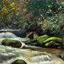 The River Lyn - plein air oil painting Painting by David Barber ...