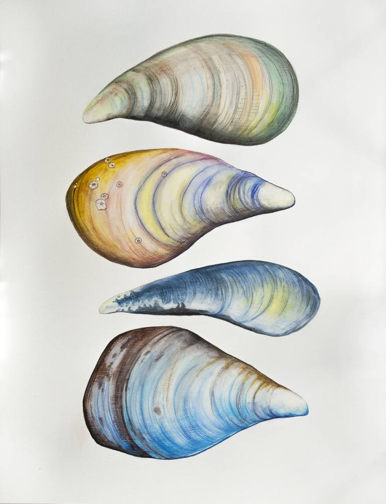 Mussels Painting by Tatjana Osipova | Saatchi Art