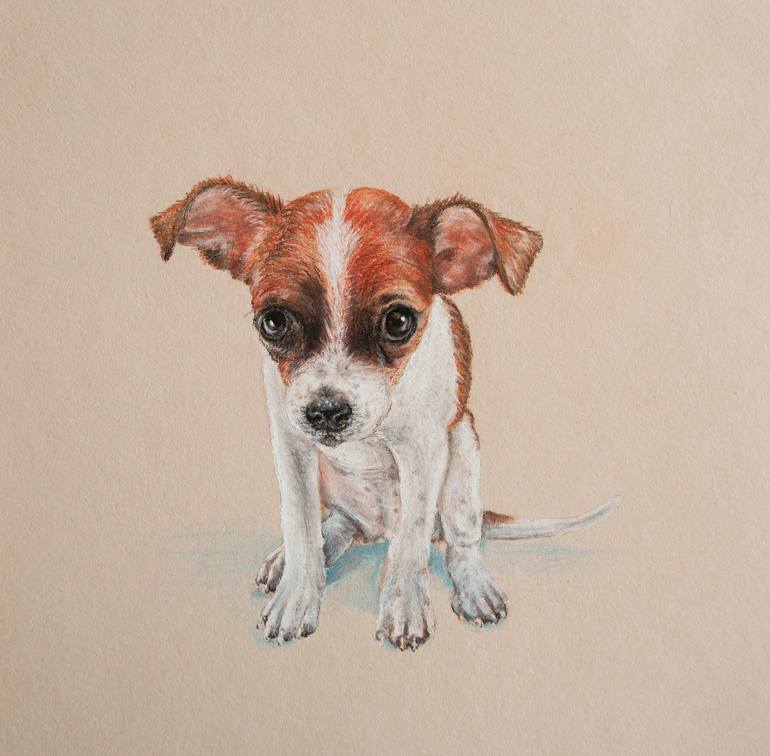 Tender puppy Drawing by Tatjana Osipova | Saatchi Art