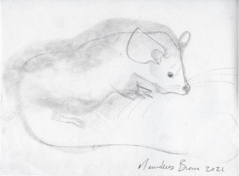 Realistic Mouse Drawing