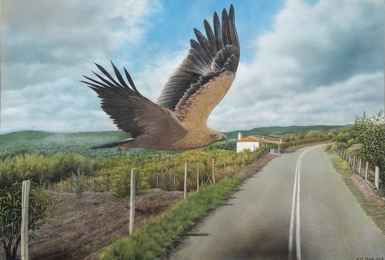 Lesser Spotted Eagle, Dadia, Greece Painting by David Prior | Saatchi Art