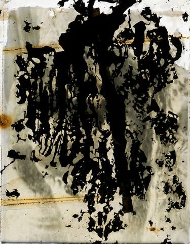 Lisa Folino | Saatchi Art