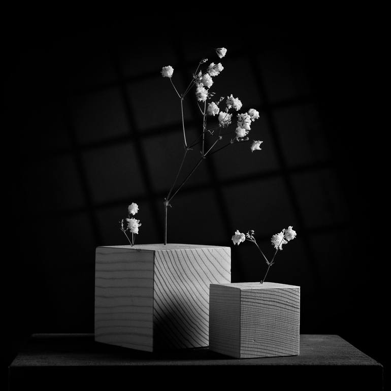 Cubicle flowers ( Gray Variations) Photography by Ovidiu Bastea ...