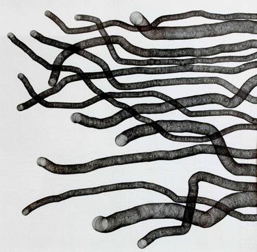 David Ogle | Saatchi Art