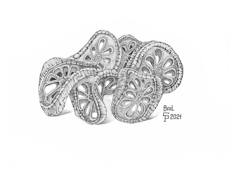 Dry Bael Drawing by Ruslan Spivak | Saatchi Art