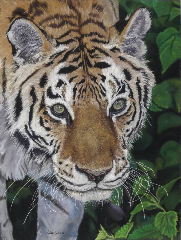 Burning Bright Drawing by Philippa Lavers | Saatchi Art