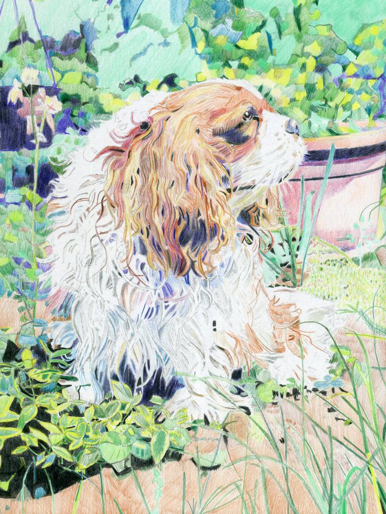 Cavalier Drawing by Kamil Nevriva | Saatchi Art