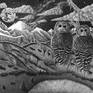 Nocturnal Drawing by Jason Miller | Saatchi Art
