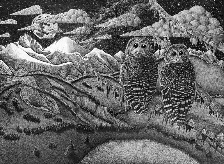 Nocturnal Drawing by Jason Miller | Saatchi Art