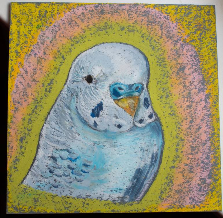 Captain Jack Parrot Drawing by Yana Selishcheva | Saatchi Art