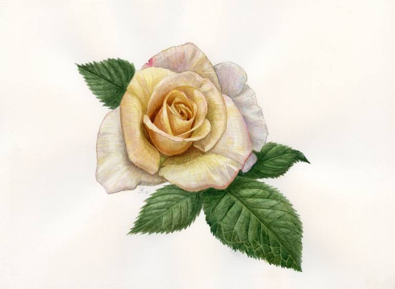 The Pearle Rose Painting by Kate Koss | Saatchi Art