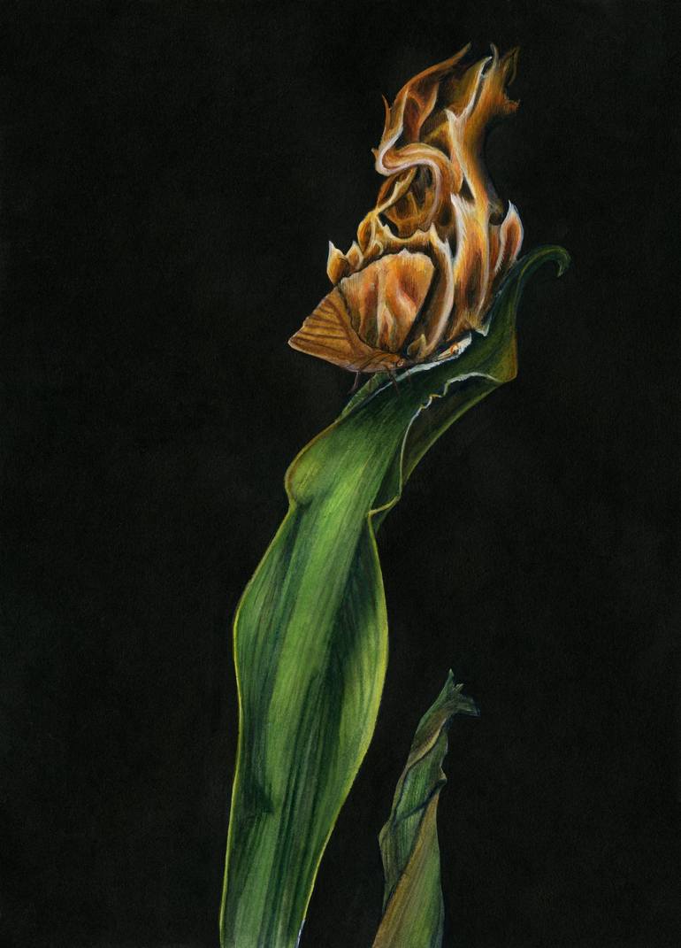 The Soul Fire Phoenix Rebirth Painting by Kate Koss | Saatchi Art