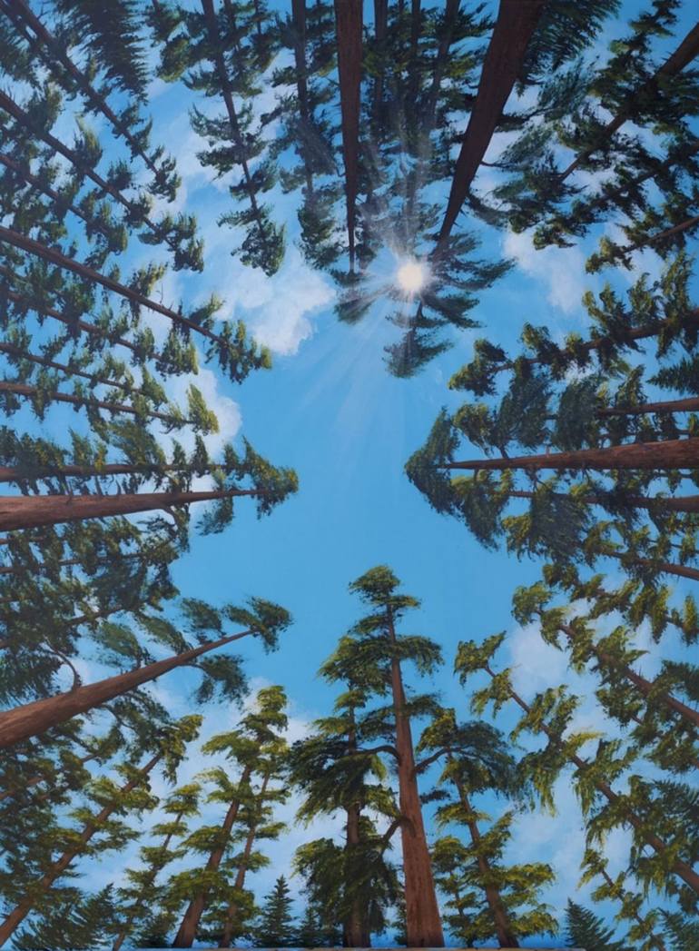 The sky in the forest, a picture of happiness, a picture in the living ...