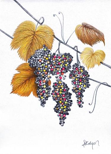 SUKRAN ERDOGAN Artworks | Saatchi Art