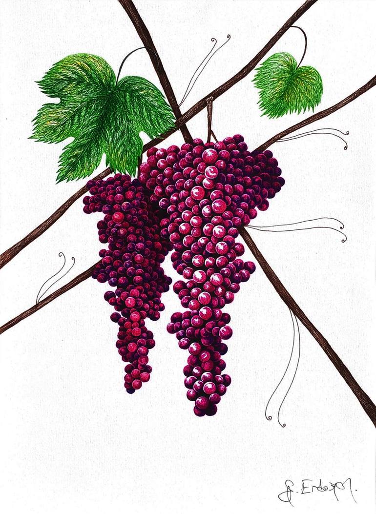 GRAPE Drawing by SUKRAN ERDOGAN | Saatchi Art