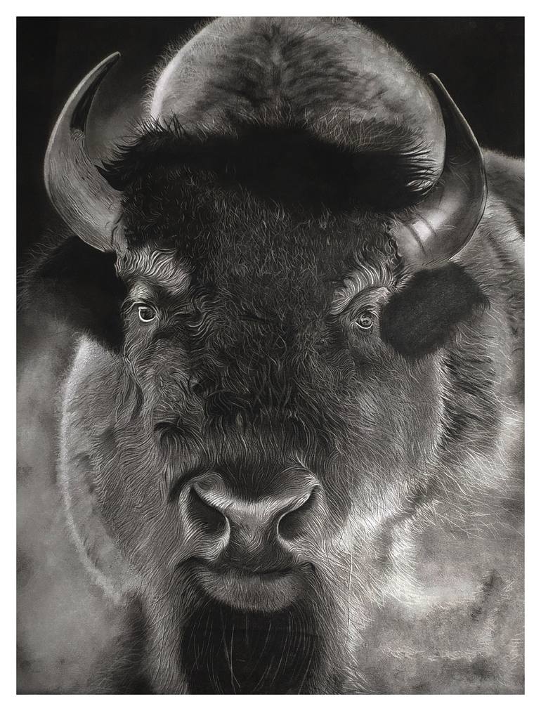 Black Bull Drawing by Bharat Rai | Saatchi Art