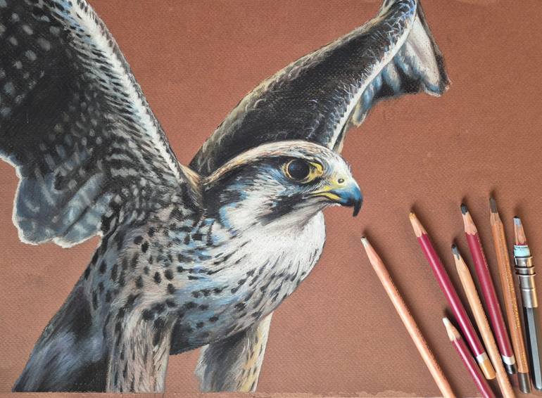 predatory falcon on toned paper with pastel pencils Drawing by Tigran ...
