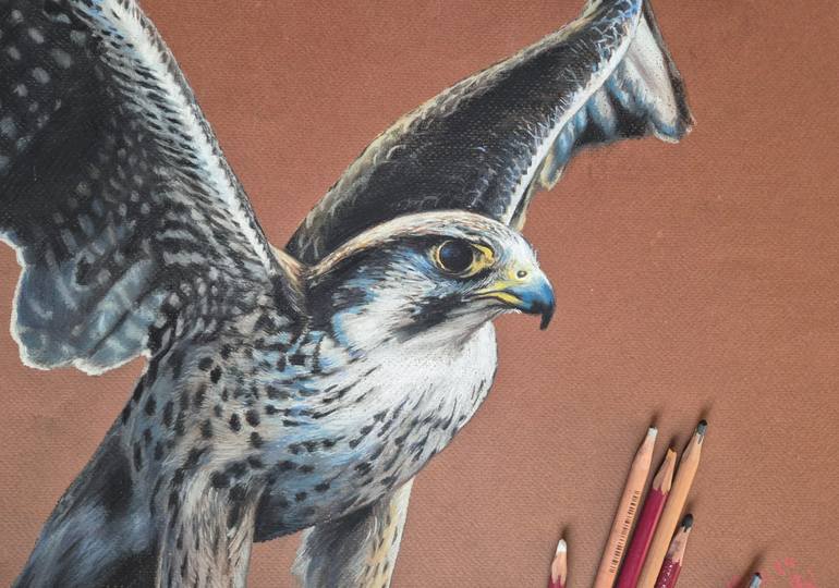 predatory falcon on toned paper with pastel pencils Drawing by Tigran ...