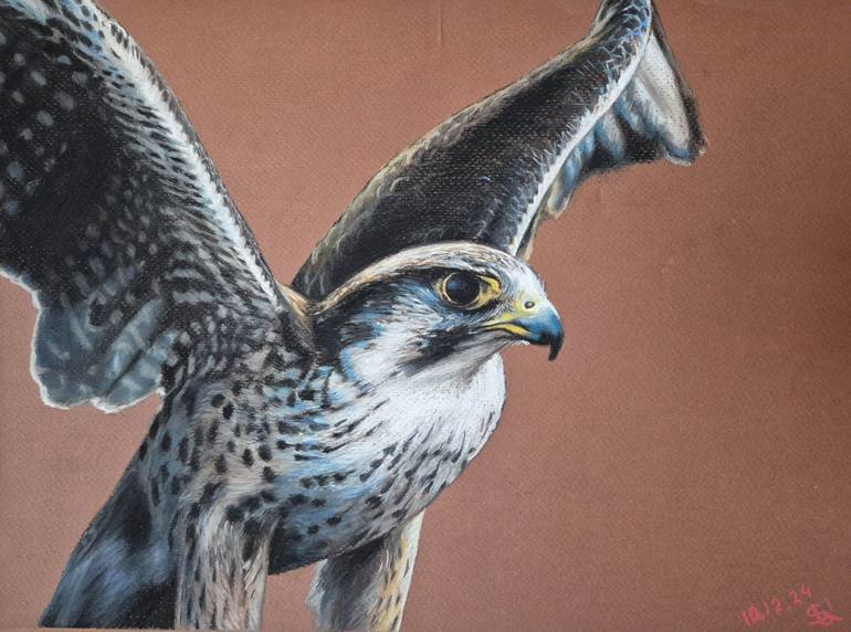 predatory falcon on toned paper with pastel pencils Drawing by Tigran ...