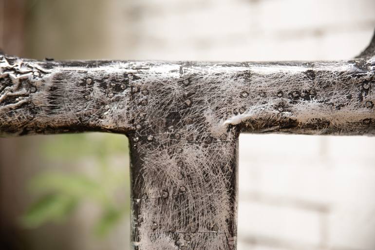 Cheia Sol Sculpture by Jimmy Beans | Saatchi Art