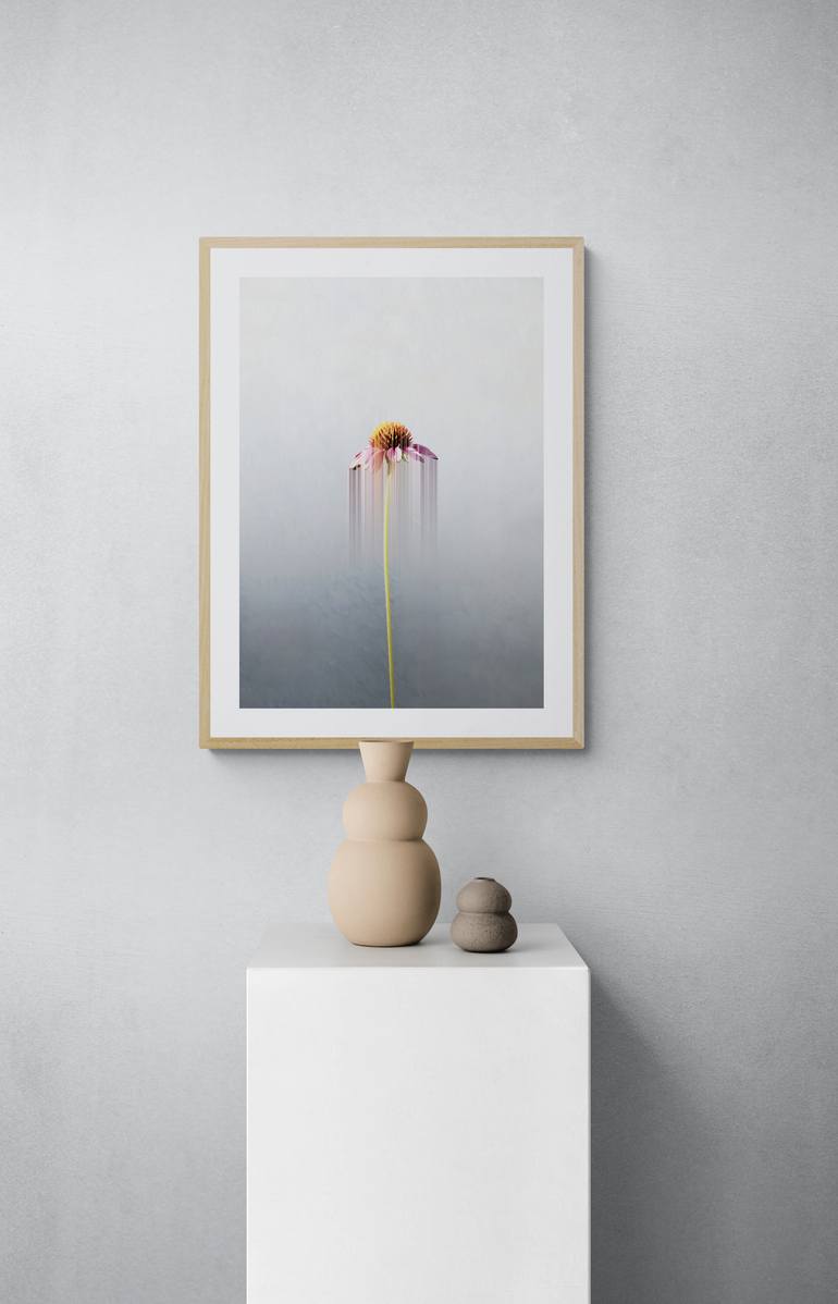 Lonely flower Photography by Marcus Cederberg | Saatchi Art