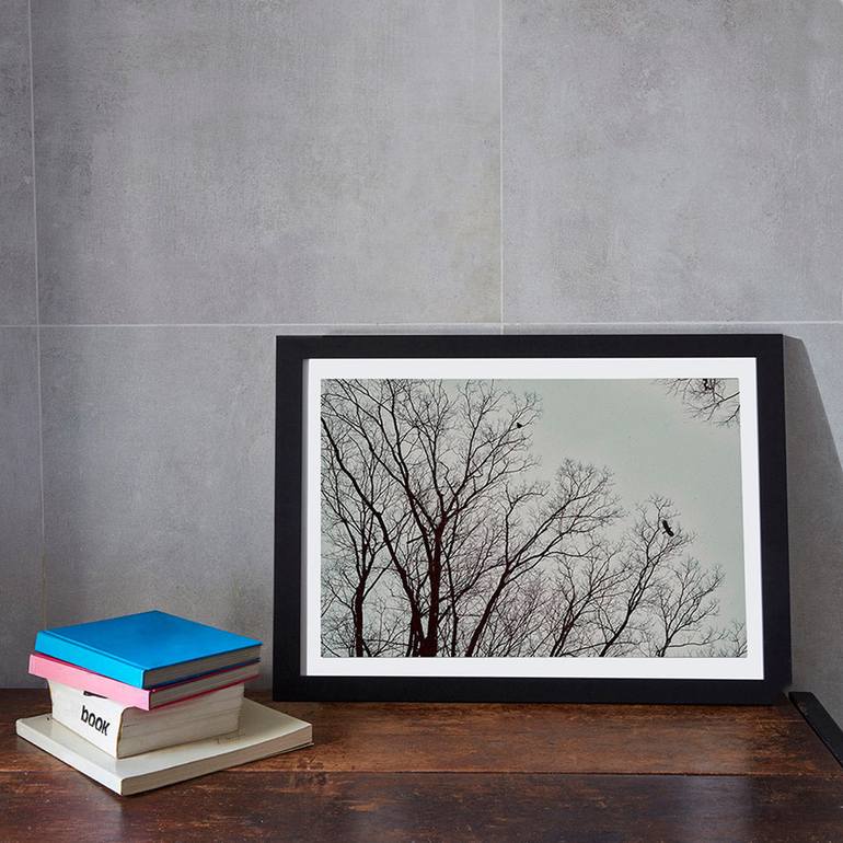 Intertwine - Skyline Wall Art Limited Edition Print of 20 Photography ...