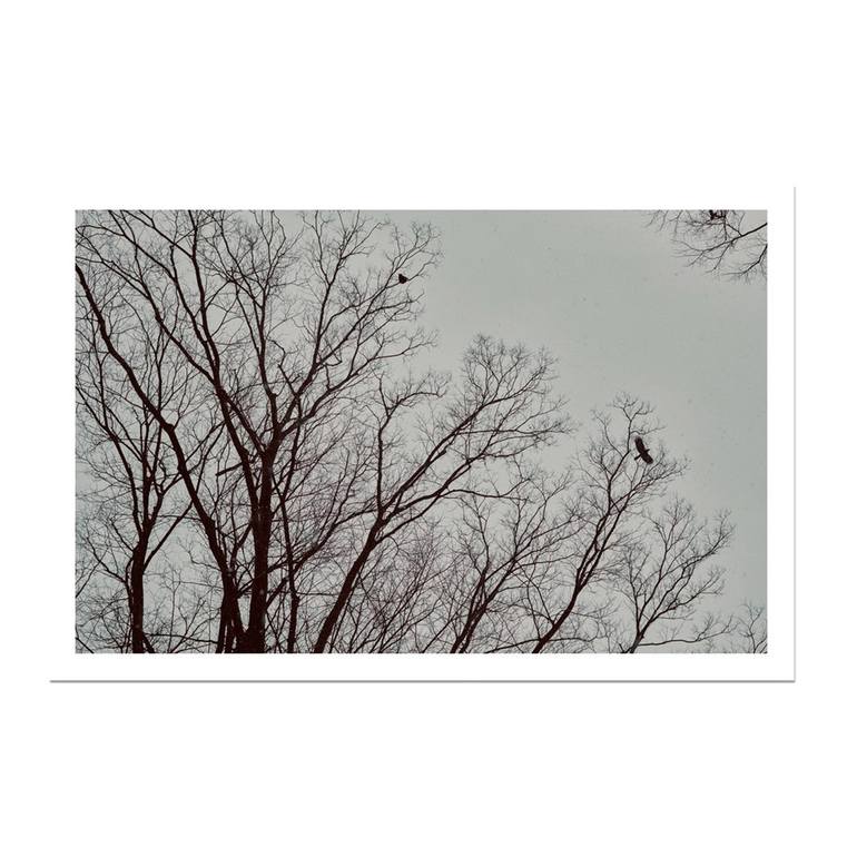 Intertwine - Skyline Wall Art Limited Edition Print of 20 Photography ...