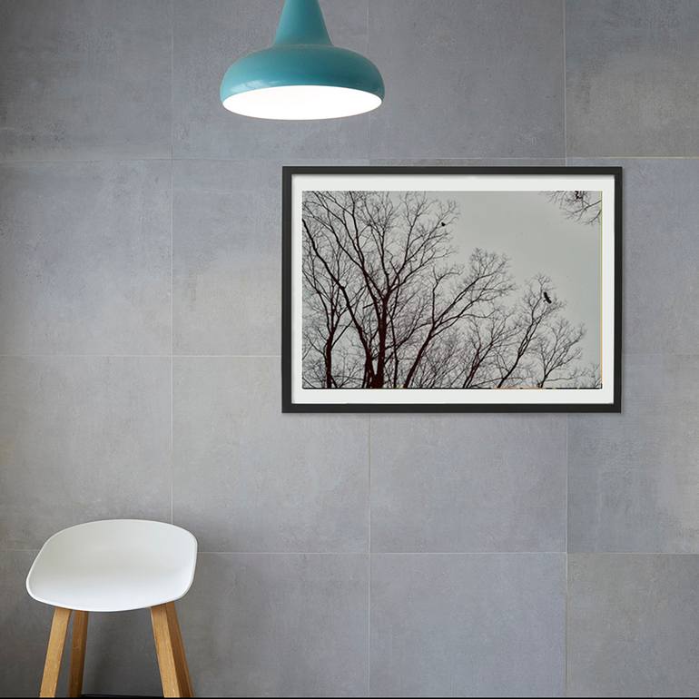 Intertwine - Skyline Wall Art Limited Edition Print of 20 Photography ...