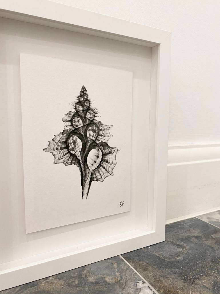 Nature's Helix Drawing by Emily Penfold | Saatchi Art