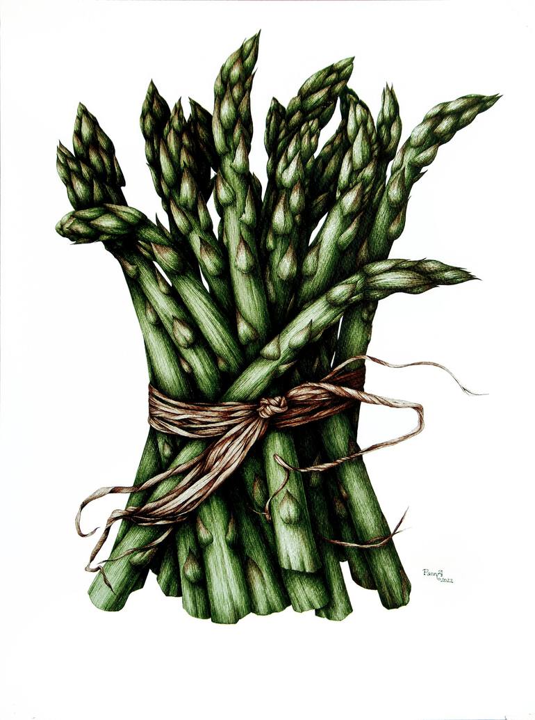 Asparagus Drawing by Anna Pankratova | Saatchi Art