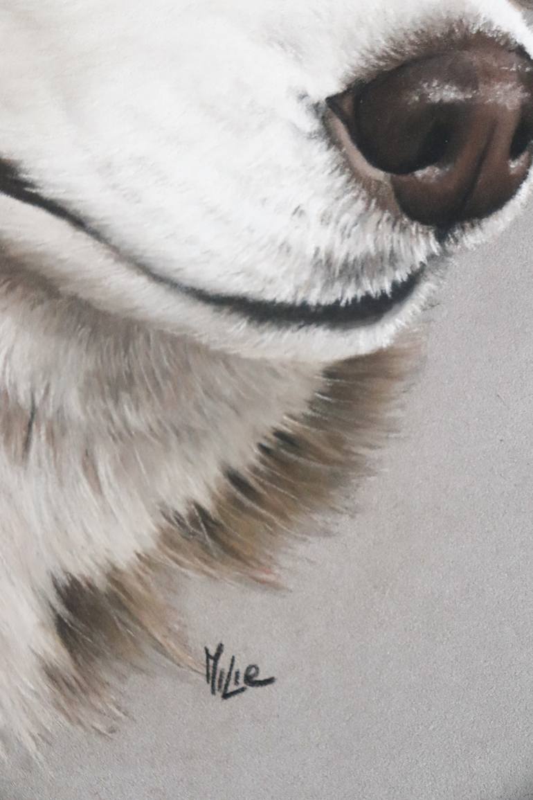 Husky Drawing by Milie Lairie | Saatchi Art