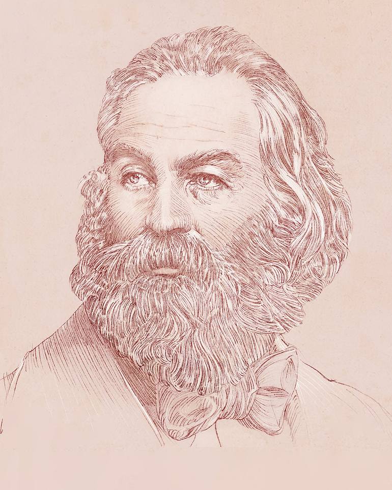 Walt Whitman Drawing by Peter Farago | Saatchi Art