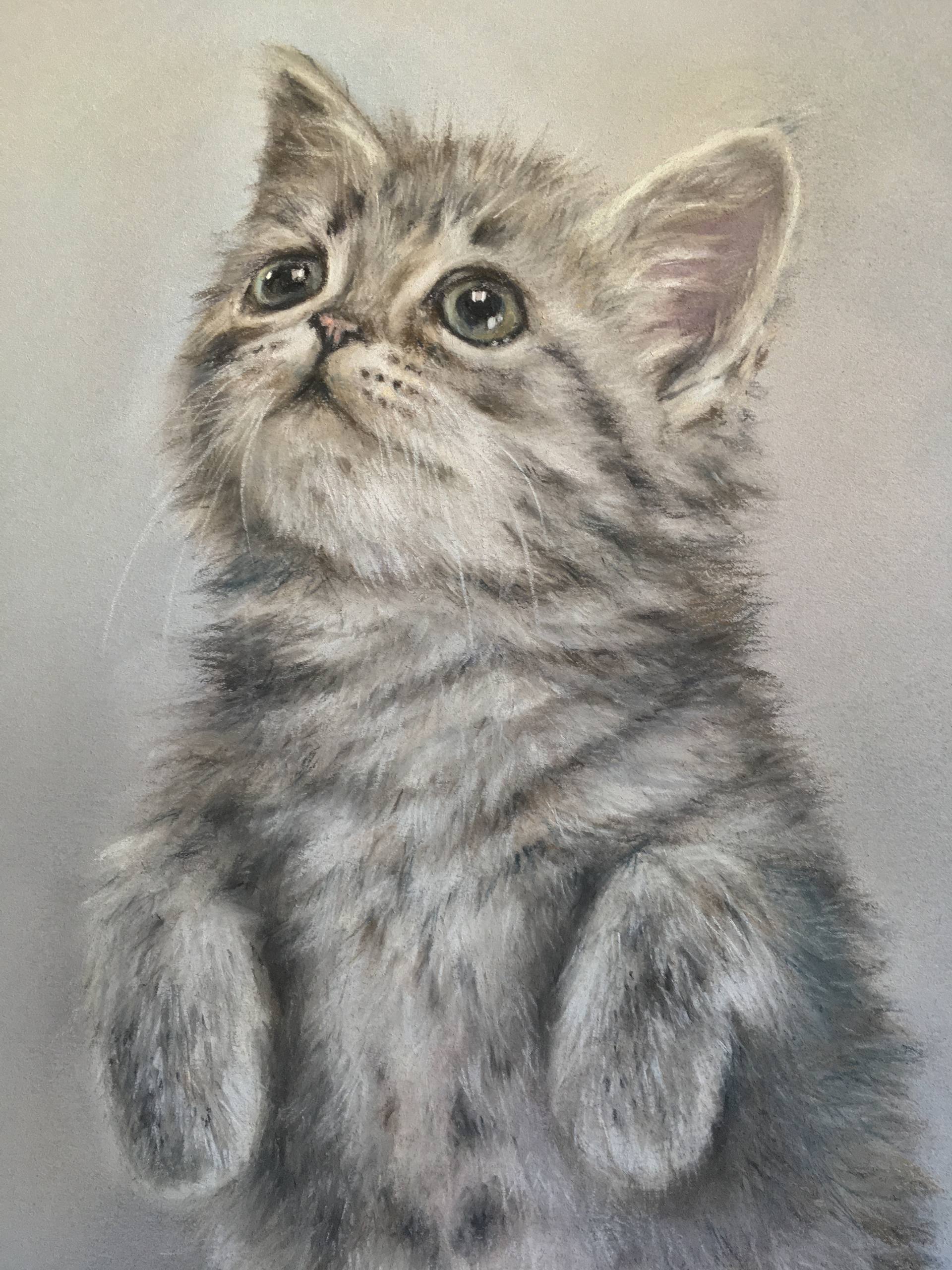 Realistic Kitten Drawing