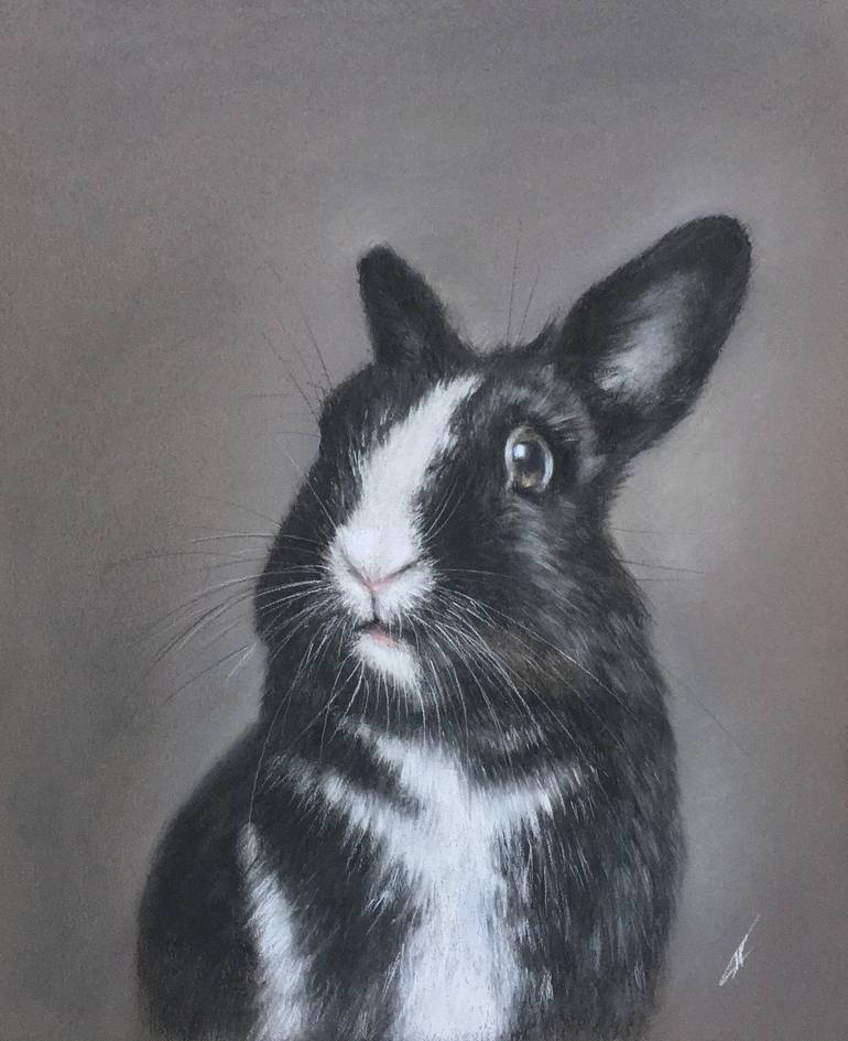 Black bunny Drawing by Pastel art | Saatchi Art