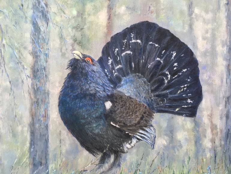 Capercaillie Drawing by Juan Pastor de la Puente | Saatchi Art