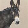 Donkey Drawing by Juan Pastor De La Puente | Saatchi Art