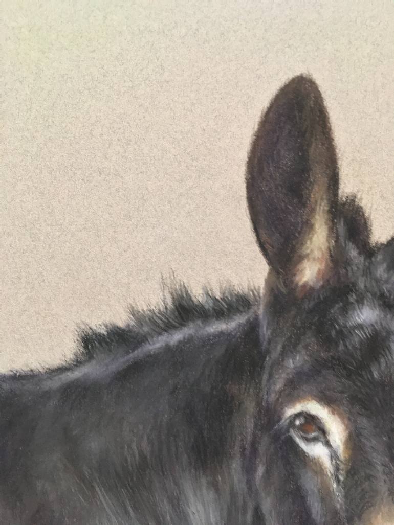 Donkey Drawing by Juan Pastor De La Puente | Saatchi Art