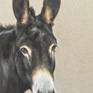 Donkey Drawing by Juan Pastor De La Puente | Saatchi Art