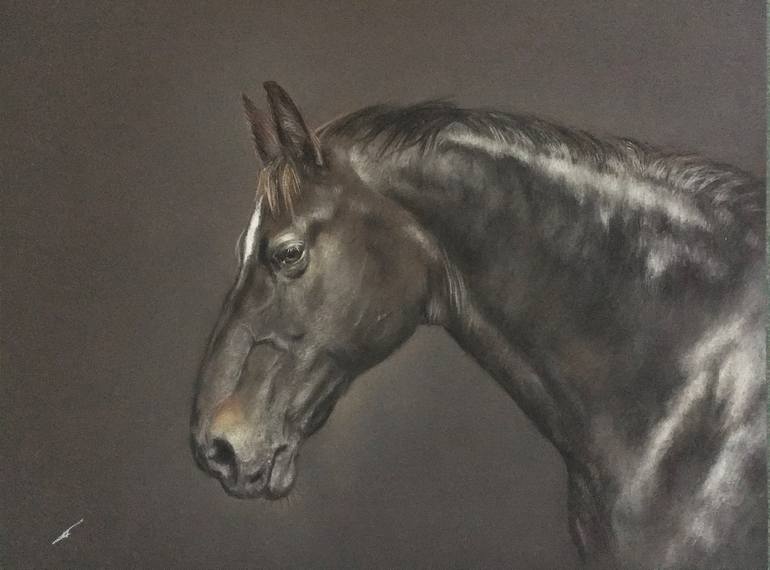 Bianca Drawing by Juan Pastor De La Puente | Saatchi Art