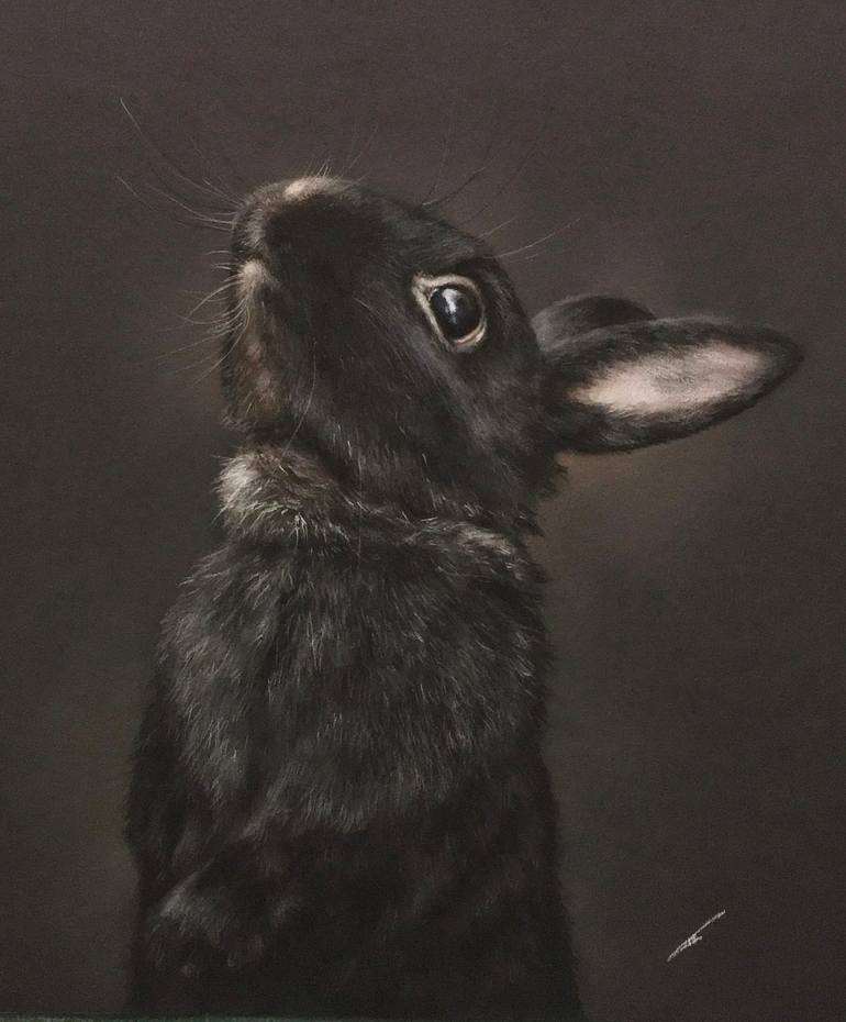 Black bunny Drawing by Juan Pastor De La Puente | Saatchi Art