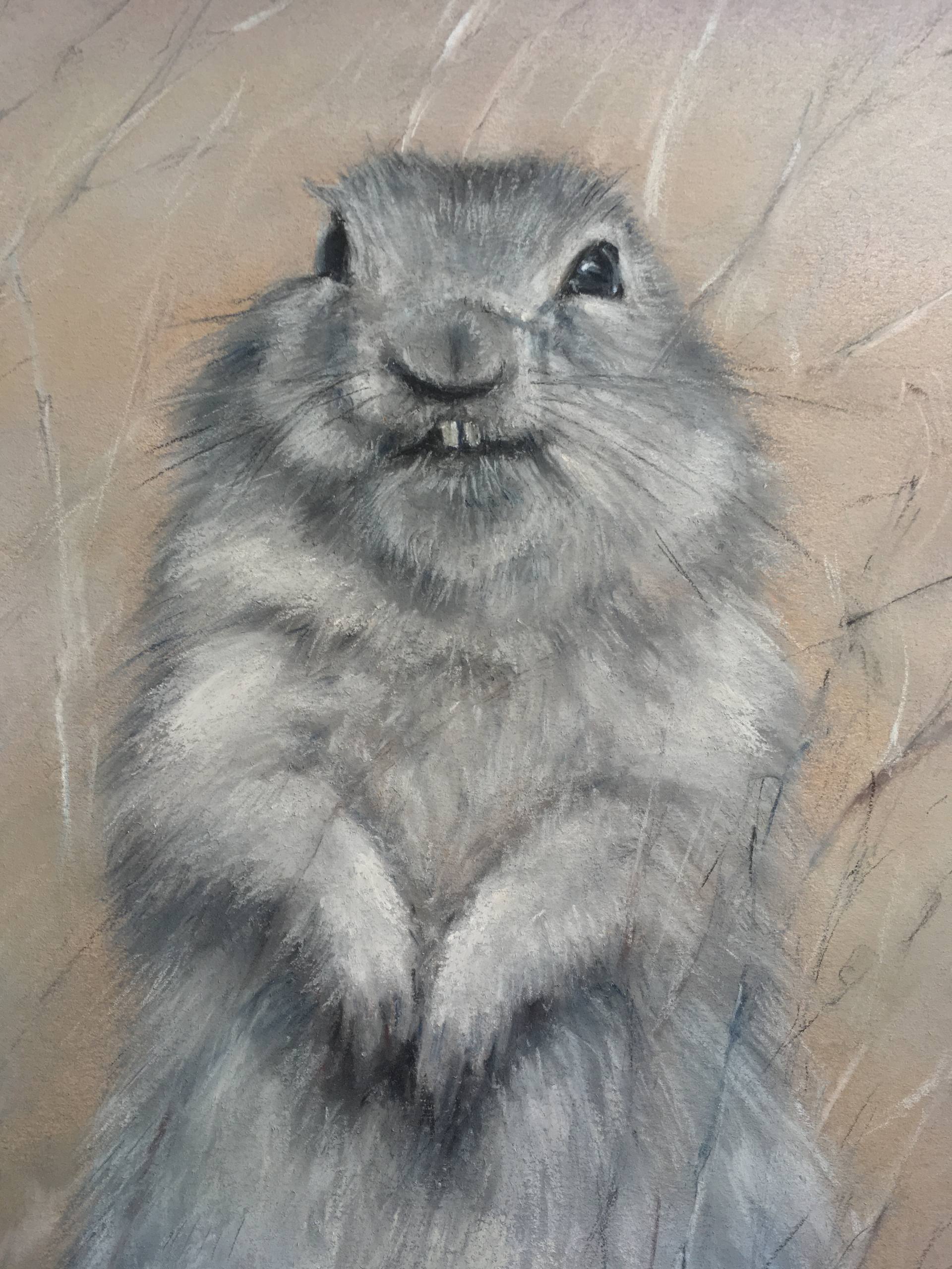 Pastel Drawings Of Animals