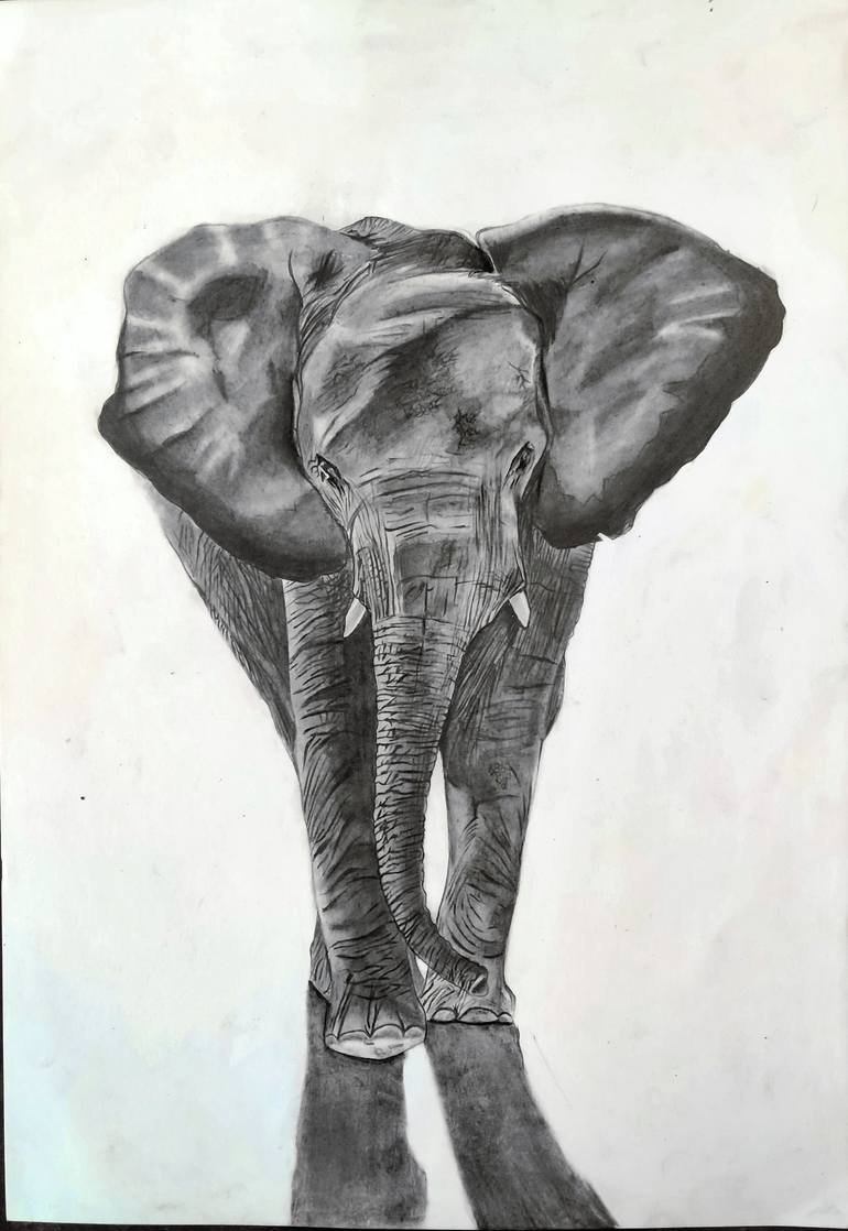 The elephant Drawing by Abdurehman Yusuf | Saatchi Art