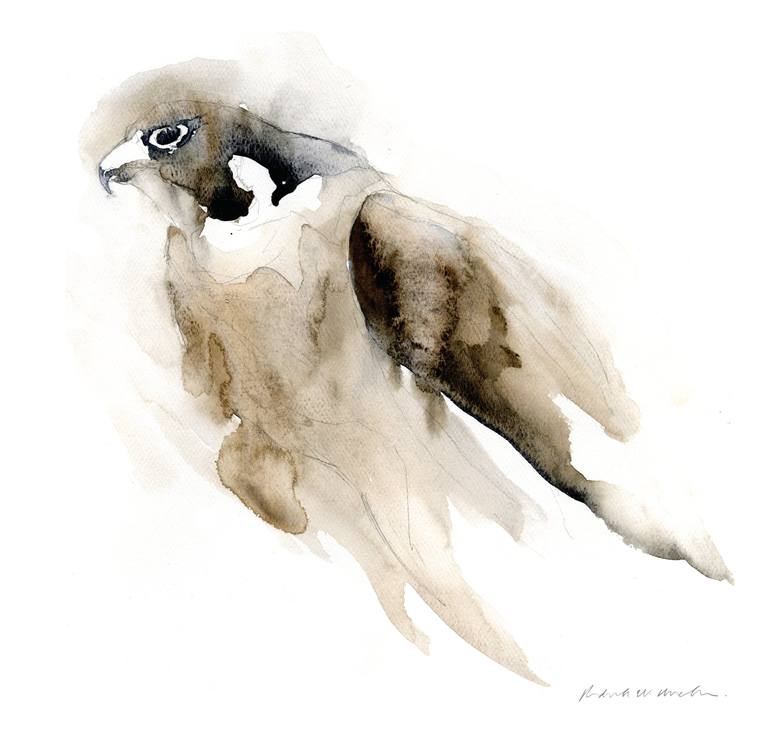 Peregrine Dream Painting by Roderick Maciver | Saatchi Art