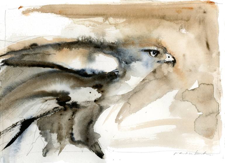 Falcon Waiting Sketch Painting by Roderick MacIver | Saatchi Art